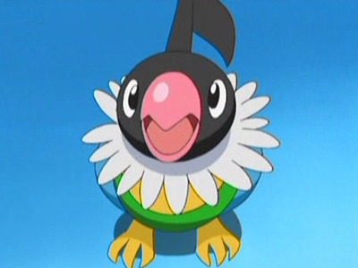 Chatot Pokemon